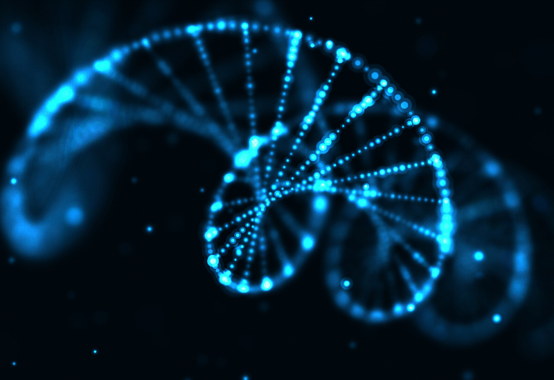 Smoking & DNA fragmentation in human sperm - IVFSERUM - Advanced IVF ...